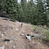 Tahoe Rim Trail to Picnic Rock Viewpoint, California - 3,740 Reviews, Map | AllTrails