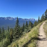Castle Mountain Lookout Trail, Alberta, Canada - 2,225 Reviews, Map ...