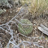 Gem Lake Trail and Lumpy Ridge Loop, Colorado - 2,356 Reviews, Map ...