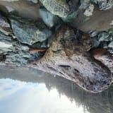 Blacklock Point Trail, Oregon - 404 Reviews, Map | AllTrails