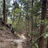 Mount Atago Loop, Kyoto, Japan - 182 Reviews, Map | AllTrails