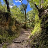 Mount Atago Loop, Kyoto, Japan - 182 Reviews, Map | AllTrails