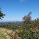 Nicky Nook Circular, Lancashire, England - 1,242 Reviews, Map | AllTrails