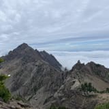 Mount Ellinor Trail, Washington - 2,958 Reviews, Map | AllTrails