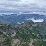Mount Ellinor Trail, Washington - 2,958 Reviews, Map | AllTrails