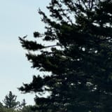 Spirit Pond Preserve, Maine - 130 Reviews, Map | AllTrails