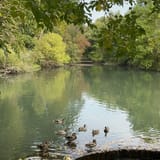 High Park Loop, Ontario, Canada - 1,154 Reviews, Map | AllTrails