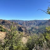 Kukui Trail, Kaua'i, Hawaii - 1,620 Reviews, Map | AllTrails