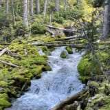 Karst Spring Trail, Alberta, Canada - 1,025 Reviews, Map | AllTrails