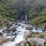 Scale Force Waterfall, Cumbria, England - 301 Reviews, Map | AllTrails