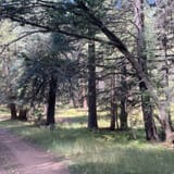 General Crook Trail, Arizona - 75 Reviews, Map | AllTrails