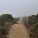 Rodeo Beach, Coastal and Miwok Trail, California - 6,784 Reviews, Map ...