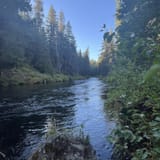 West Metolius River Trail, Oregon - 745 Reviews, Map | AllTrails