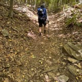Pulpit Rock and Pinnacle Loop, Pennsylvania - 3,789 Reviews, Map ...