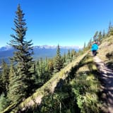 Castle Mountain Lookout Trail, Alberta, Canada - 2,227 Reviews, Map ...