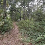 Bluff Point State Park and Coastal Reserve Loop, Connecticut - 4,295 ...