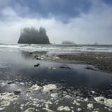 Second Beach, Washington - 2,138 Reviews, Map | AllTrails