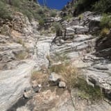 Phoneline Trail, Arizona - 1,466 Reviews, Map | AllTrails