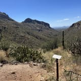 Phoneline Trail, Arizona - 1,466 Reviews, Map | AllTrails
