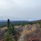 Summit Trail to Wickersham Dome, Alaska - 232 Reviews, Map | AllTrails