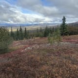Curry Ridge Trail, Alaska - 1,131 Reviews, Map | AllTrails