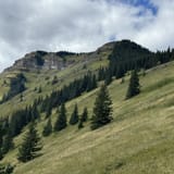 Wind Ridge Trail, Alberta, Canada - 1,397 Reviews, Map | AllTrails