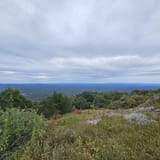Buffalo Mountain Trail, Virginia - 766 Reviews, Map | AllTrails