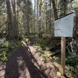 Wind Ridge Trail, Alberta, Canada - 1,422 Reviews, Map | AllTrails