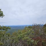 Buffalo Mountain Trail, Virginia - 766 Reviews, Map | AllTrails