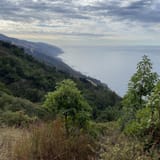 Tanbark Trail and Tin House Loop, California - 1,411 Reviews, Map ...