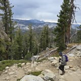 May Lake, California - 993 Reviews, Map | AllTrails