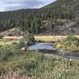 Cub Lake Loop, Colorado - 2,306 Reviews, Map | AllTrails