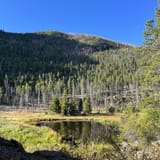 Cub Lake Loop, Colorado - 2,306 Reviews, Map | AllTrails