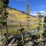 Cub Lake Loop, Colorado - 2,306 Reviews, Map | AllTrails