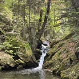 Killington Peak via Bucklin Trail, Vermont - 2,091 Reviews, Map | AllTrails