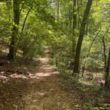 Crabtree Falls Trail, North Carolina - 4,807 Reviews, Map | AllTrails