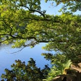 Nicky Nook Circular, Lancashire, England - 1,242 Reviews, Map | AllTrails