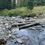 Butler Gulch Trail, Colorado - 3,264 Reviews, Map | AllTrails