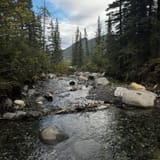 Heart Creek Trail, Alberta, Canada - 3,828 Reviews, Map | AllTrails