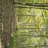 Heber Down Conservation Area Trail, Ontario, Canada - 633 Reviews, Map ...