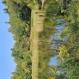 Heber Down Conservation Area Trail, Ontario, Canada - 633 Reviews, Map ...