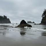 Second Beach, Washington - 2,138 Reviews, Map | AllTrails
