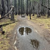 Chickadee Ridge via Tahoe Rim Trail, Nevada - 2,877 Reviews, Map ...