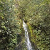 Madison Falls Trail, Washington - 2,127 Reviews, Map | AllTrails