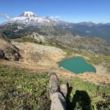 Tatoosh Ridge Trail, Washington - 443 Reviews, Map | AllTrails