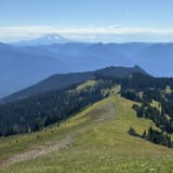 Tatoosh Ridge Trail, Washington - 443 Reviews, Map | AllTrails