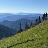 Tatoosh Ridge Trail, Washington - 443 Reviews, Map | AllTrails