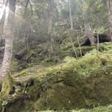 Rooster Comb Trail, New York - 1,324 Reviews, Map | AllTrails