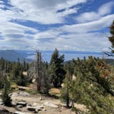 Chickadee Ridge via Tahoe Rim Trail, Nevada - 2,877 Reviews, Map ...