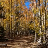 Abyss Trail to Helms Lake, Colorado - 2,744 Reviews, Map | AllTrails